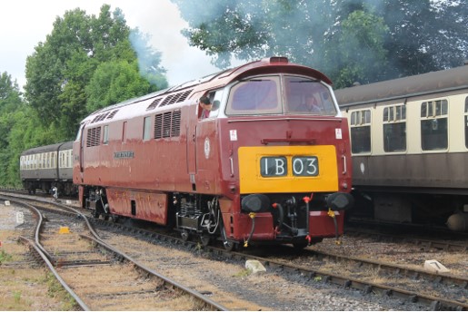 CLASS 52 "WESTERN" No. D1010 "WESTERN CAMPAIGNER"